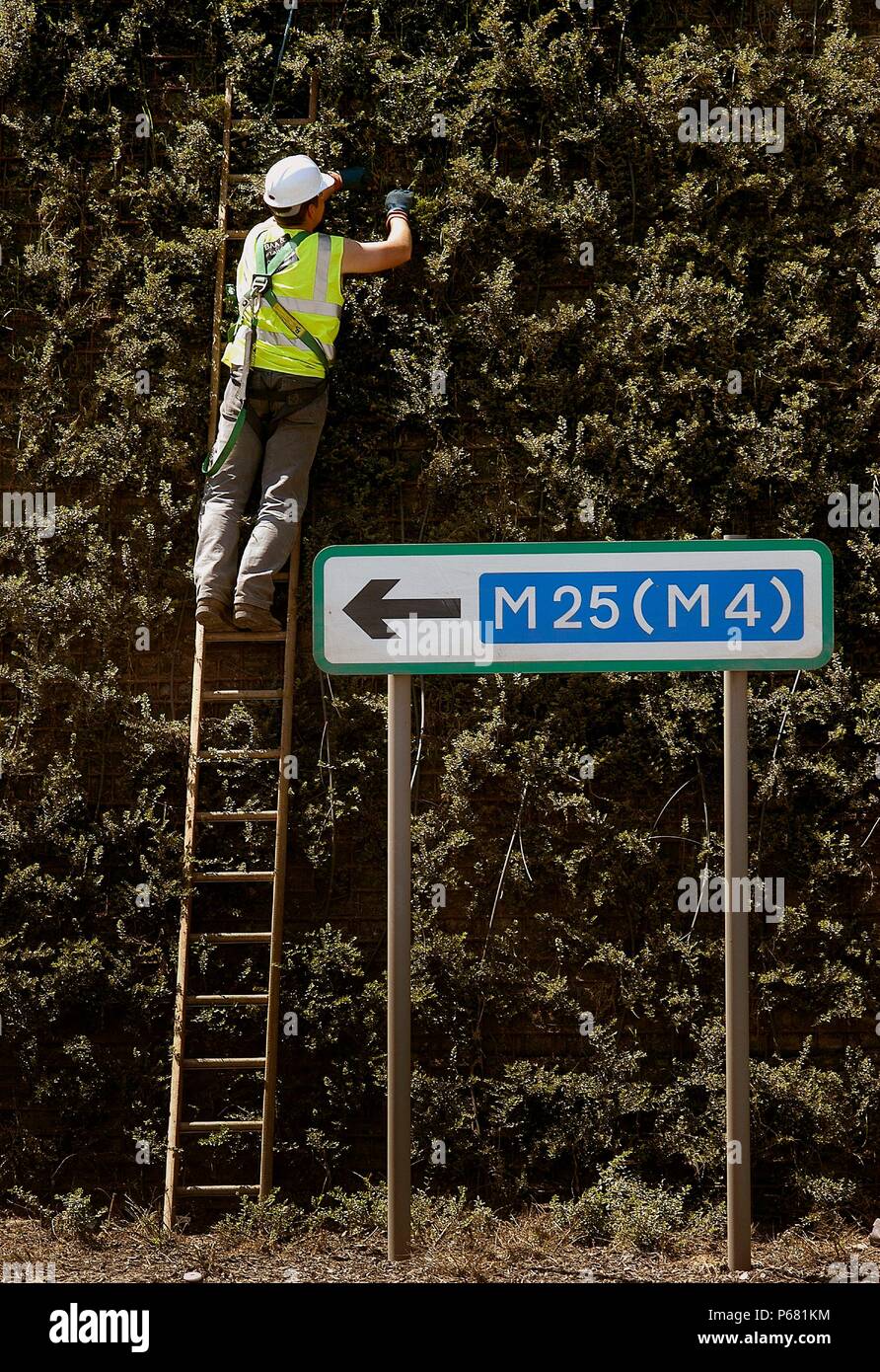 "Gardener Planting Shrubs, Approach Road, Terminal 5, Heathrow Airport ...