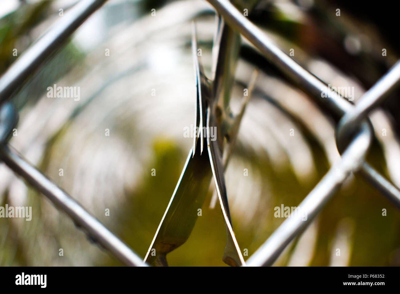 Barbed Wire Sharp Edge Close Up Stock Photo - Alamy