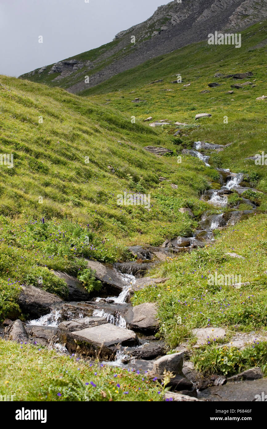 A small mountain stream flows down the hillside between Ritzengrätli ...