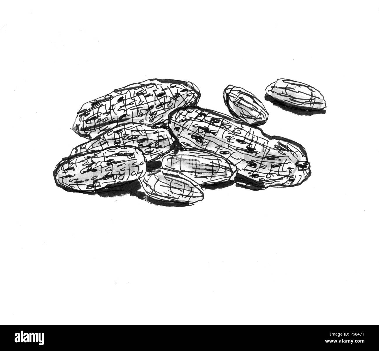 Closeup peanuts Black and White Stock Photos & Images - Alamy