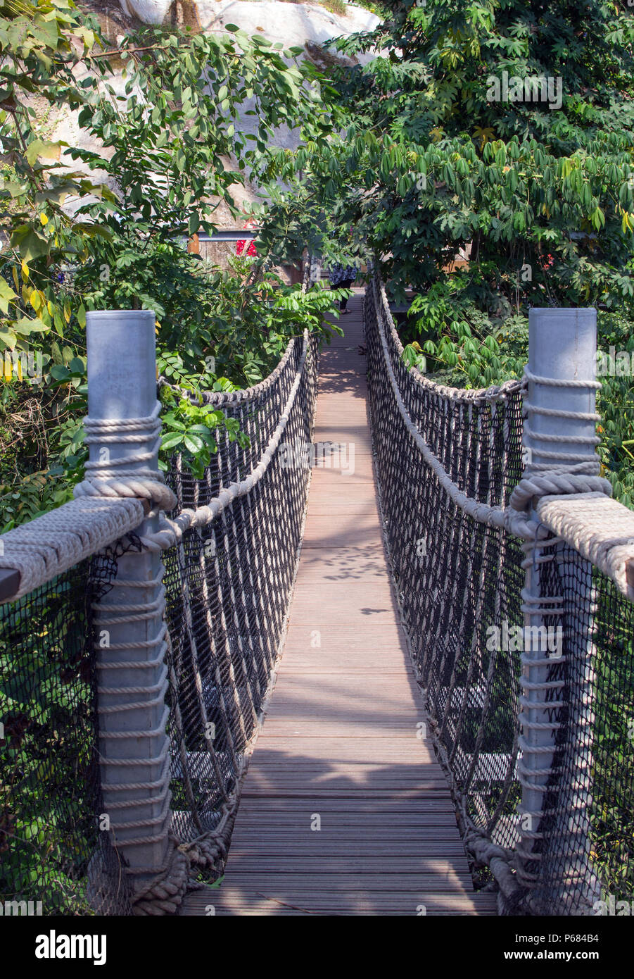 Rope bridge jungle hi-res stock photography and images - Alamy