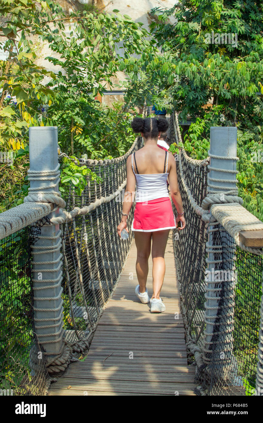 Rope bridge jungle hi-res stock photography and images - Alamy