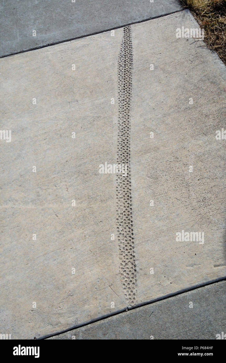 Bicycle tire tracks in concrete cement sidewalk. Purposely ridden over ...
