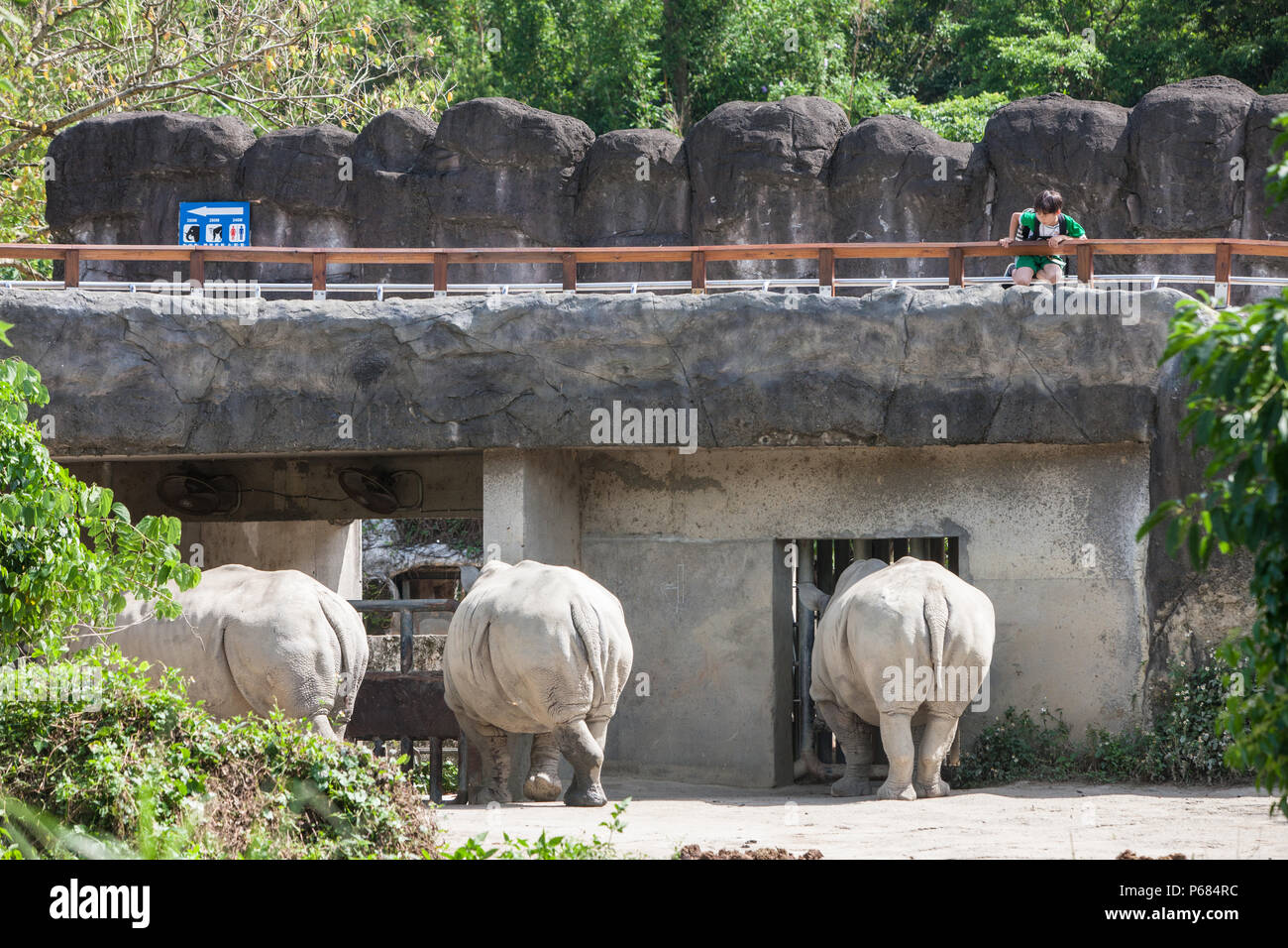 Taipei Zoo,zoo,animal,animals,Taipei,Taipei City,Taiwan,city,island ...