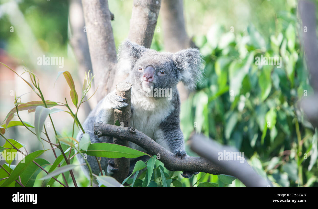 Taipei Zoo,zoo,animal,animals,Taipei,Taipei City,Taiwan,city,island ...