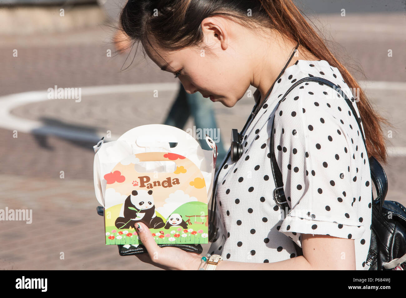 Giant Panda,Taipei Zoo,zoo,animal,animals,Taipei,Taipei City,Taiwan ...