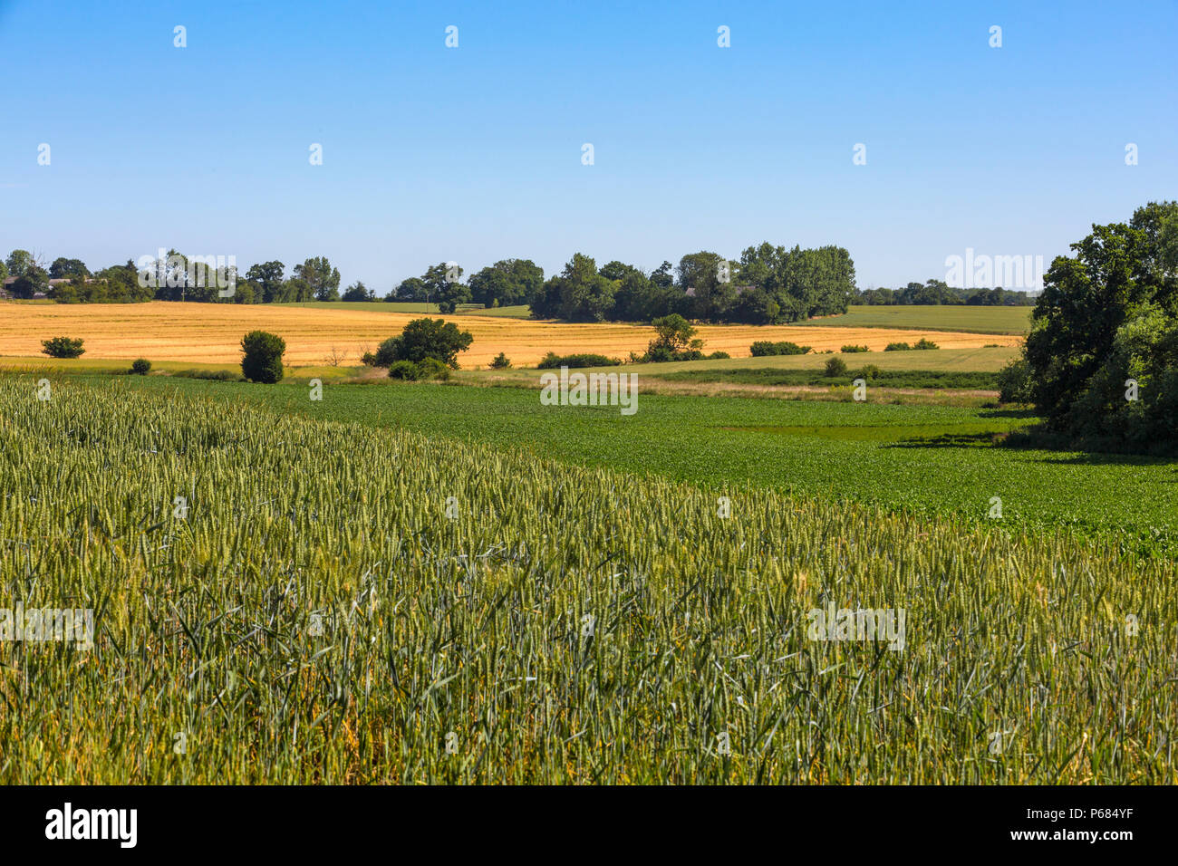 Commercial Mixed Farming