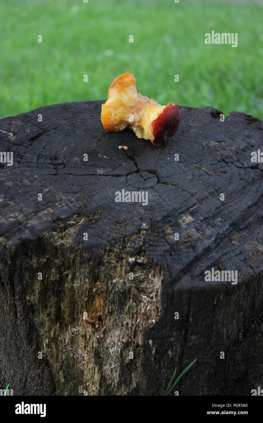 Peach Core High Resolution Stock Photography and Images - Alamy