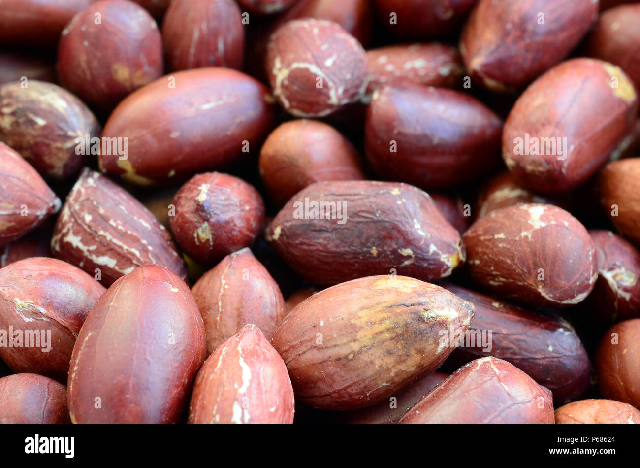 Peanut. A lot of small yellow nuts with brown peel. Background texture ...