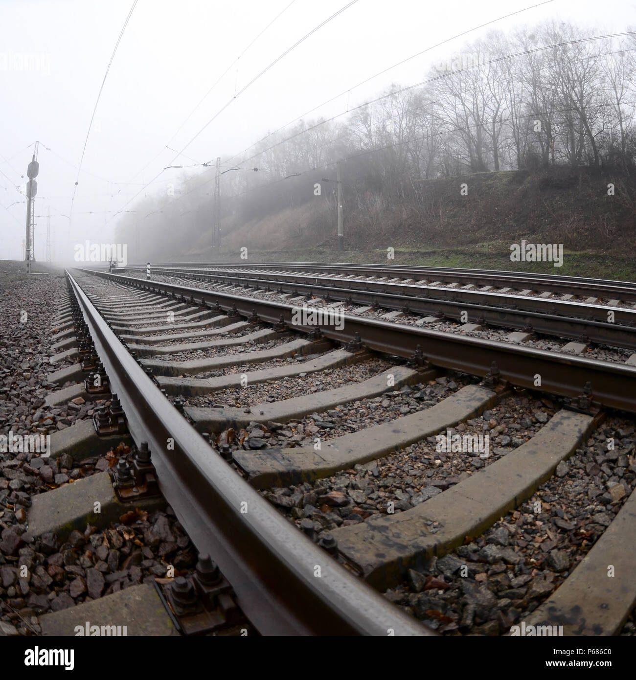 Rail tracks in misty forest hi-res stock photography and images - Alamy