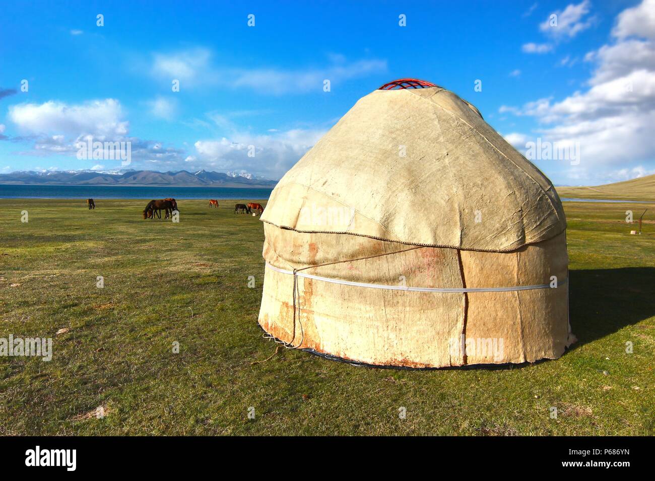 The ger camp in a large meadow at Ulaanbaatar , Mongolia Stock Photo ...