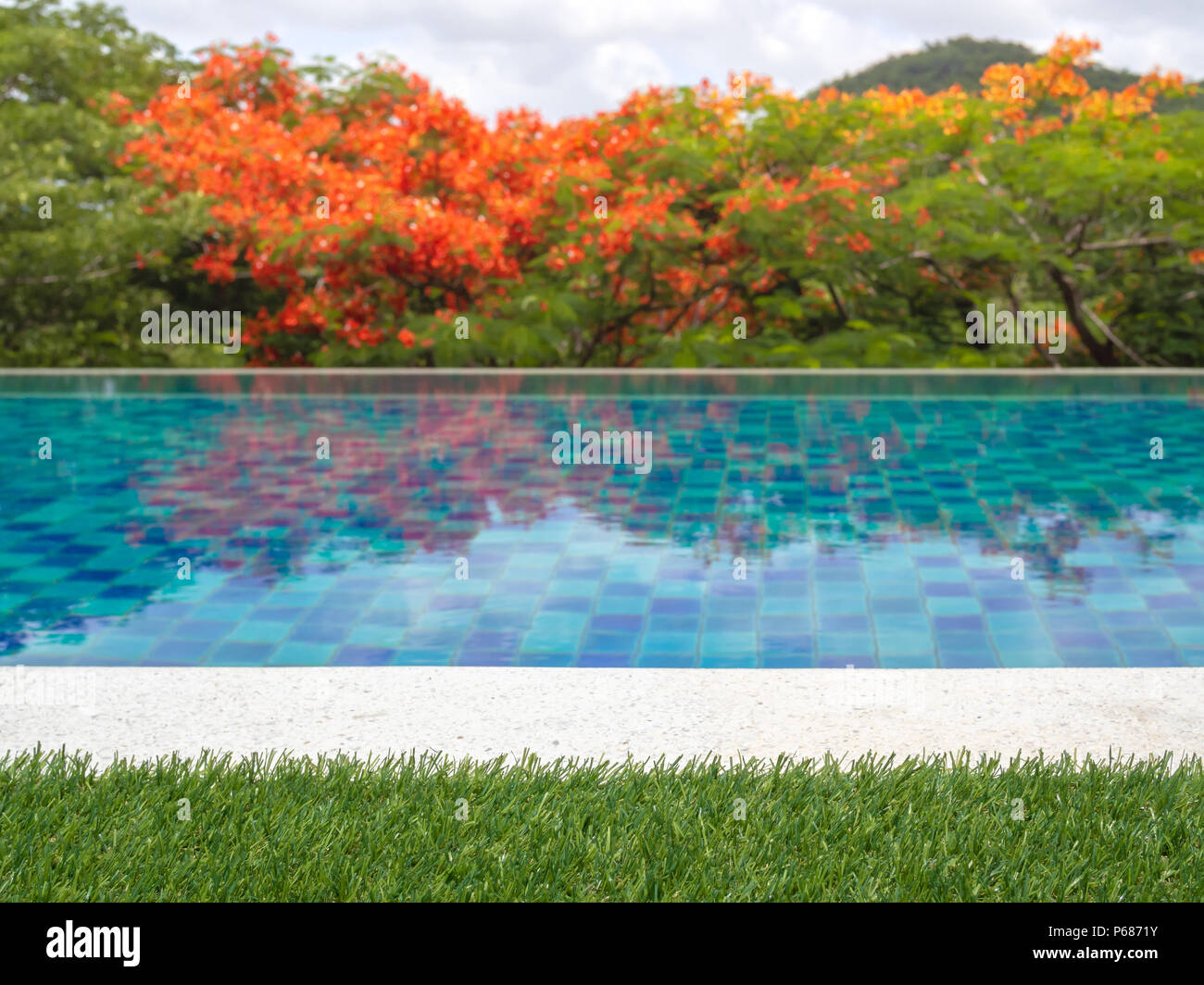Swimming Pool with Close-up Grass Texture with Forest and Flower ...