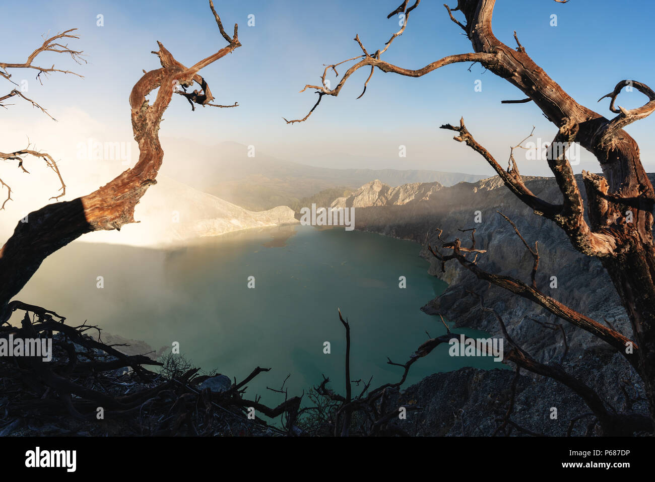 Dead trees and smoke with lake on Kawah Ijen volcanic, famous travel ...
