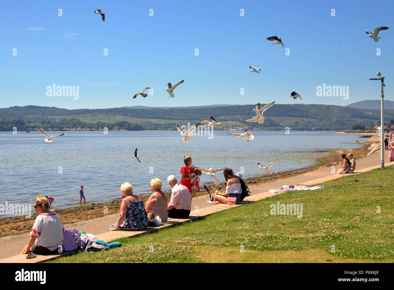 Helensburgh, Scotland, UK 28th June. UK Weather:Sunny sizzling weather ...