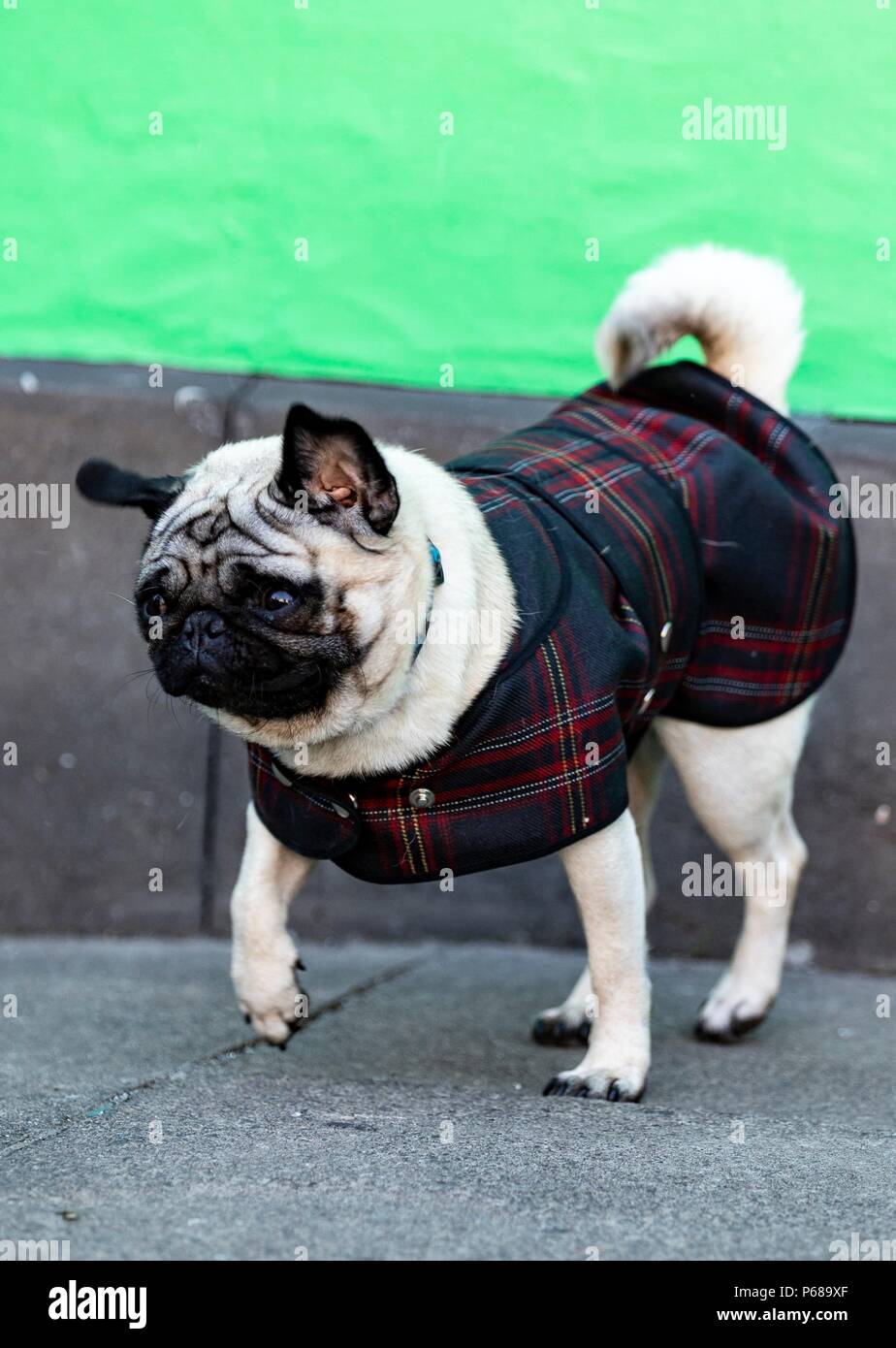 Edinburgh, Scotland, UK. 28th June, 2018. Cast and crew attend a ...