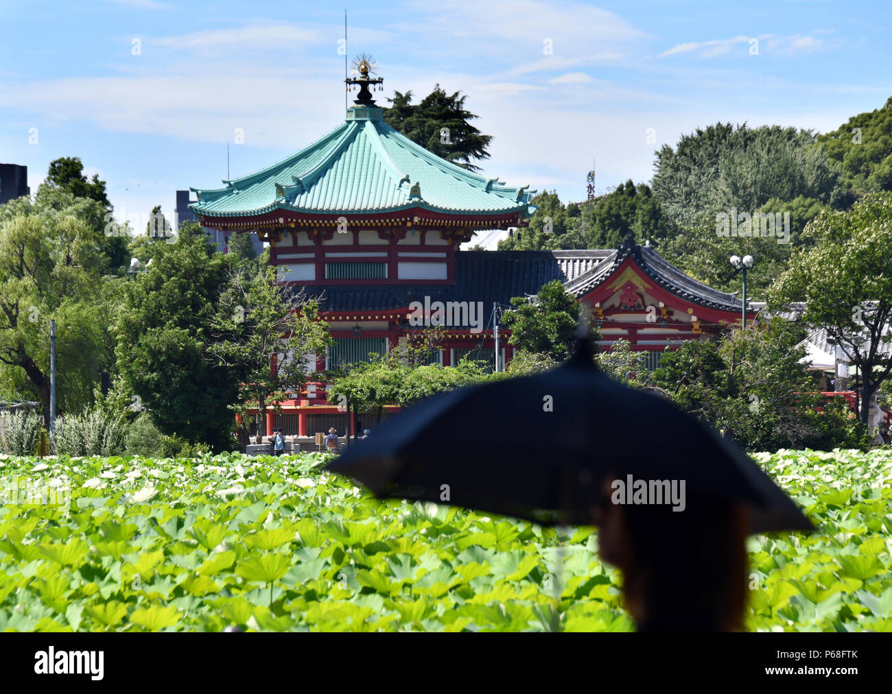 Sizzling sun hi-res stock photography and images - Alamy