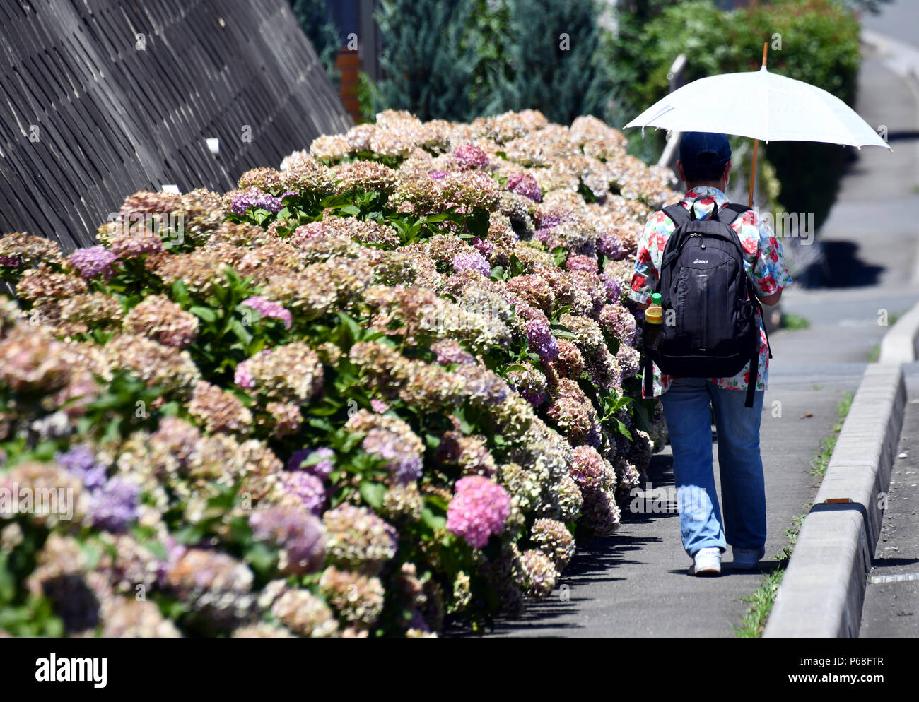 Sizzling sun hi-res stock photography and images - Alamy