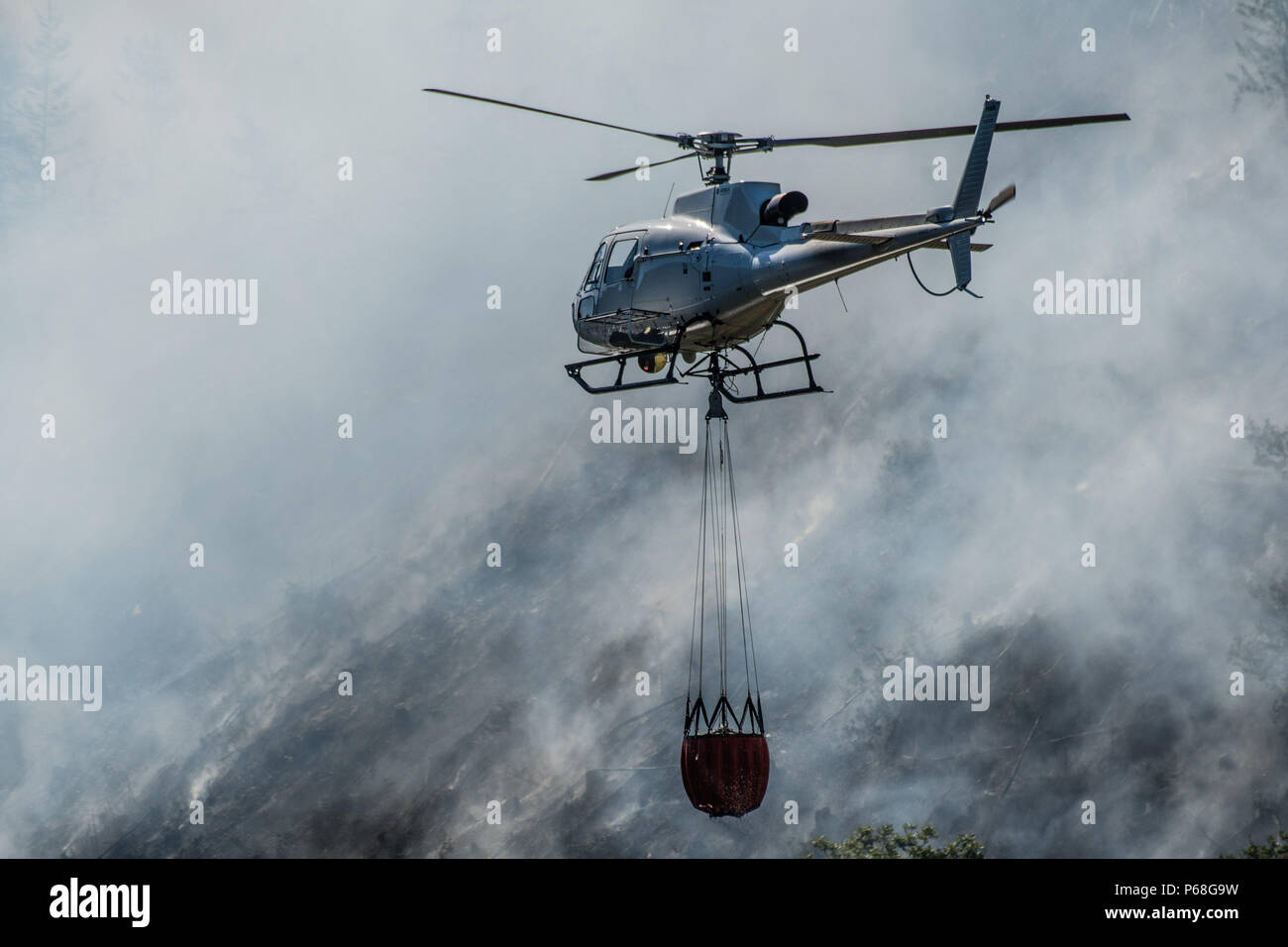 Water bomb forest fire hi-res stock photography and images - Alamy