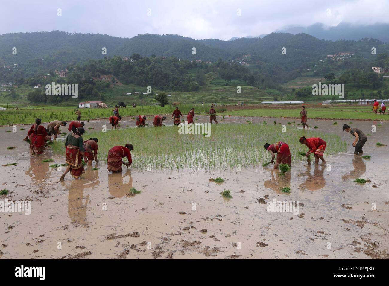 Lele people hi-res stock photography and images - Alamy