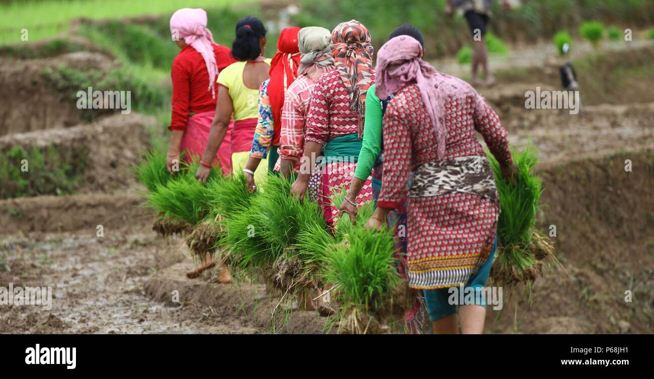 Asar 15 hi-res stock photography and images - Alamy