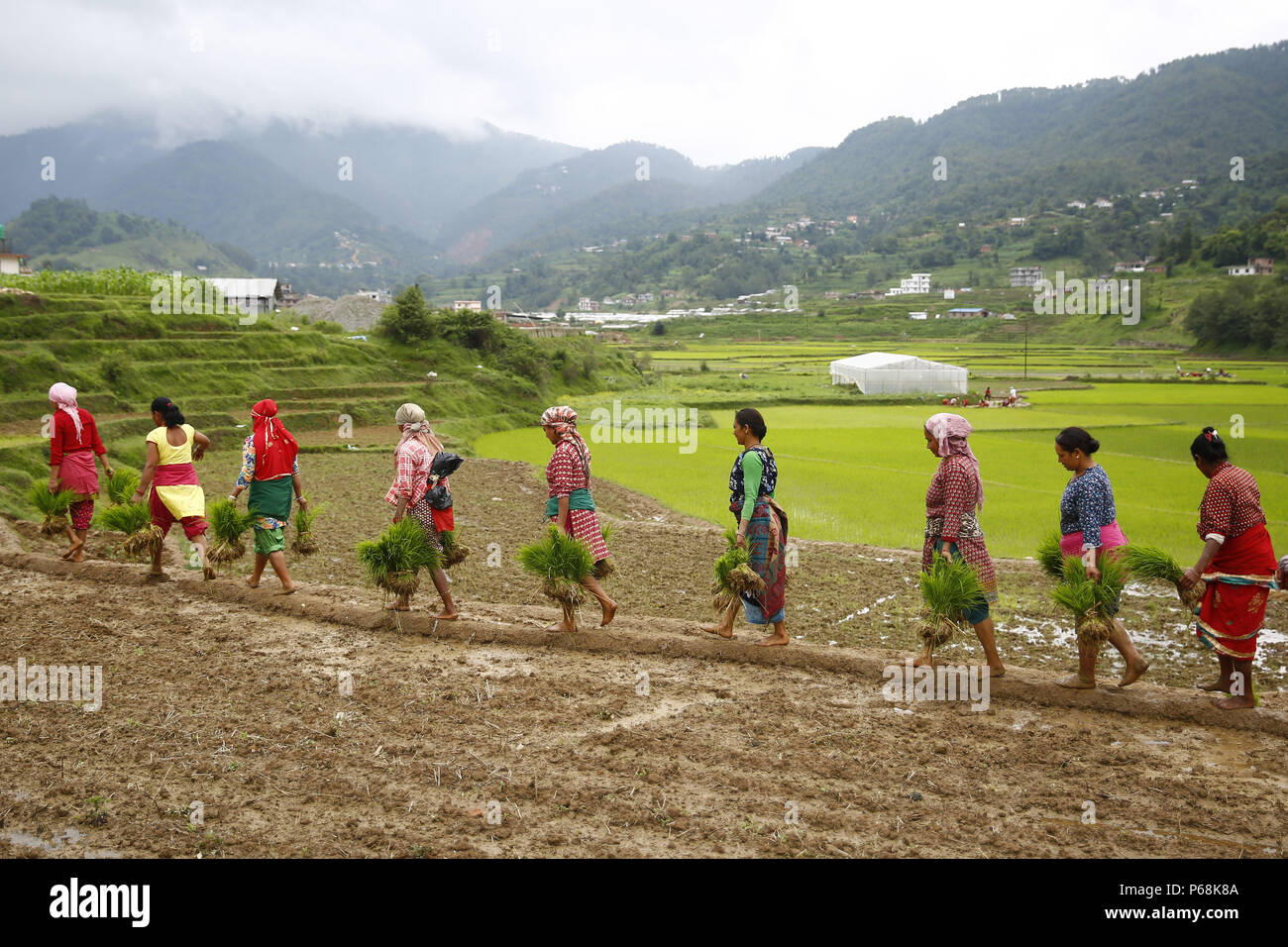 Lalitpur, Nepal. 29th June, 2018. Nepalese farmers walk as they carry ...
