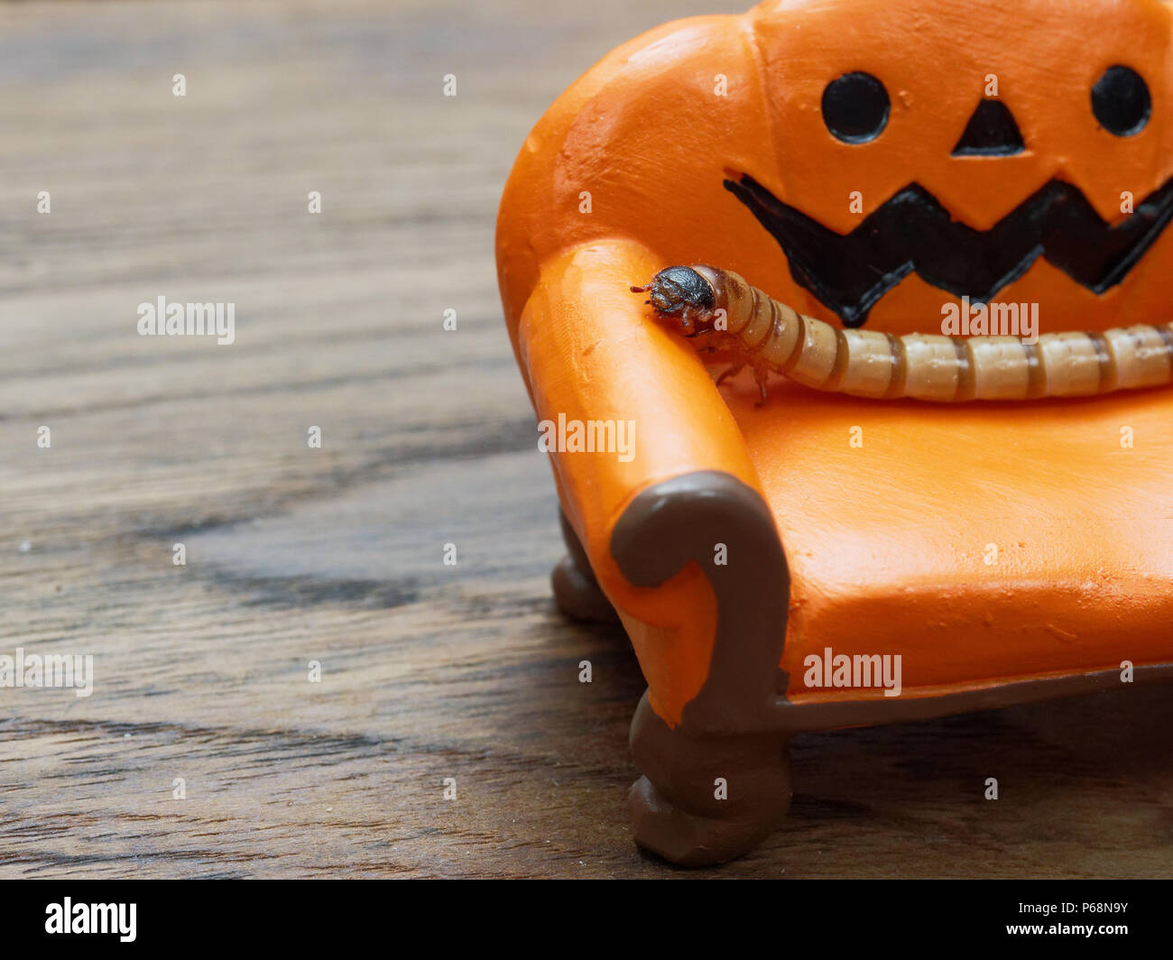 Super or giant worm crawling on orange miniature ceramic pumpkin couch ...