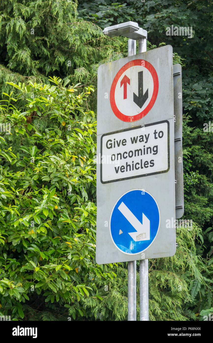 Give Way Sign Uk High Resolution Stock Photography and Images - Alamy