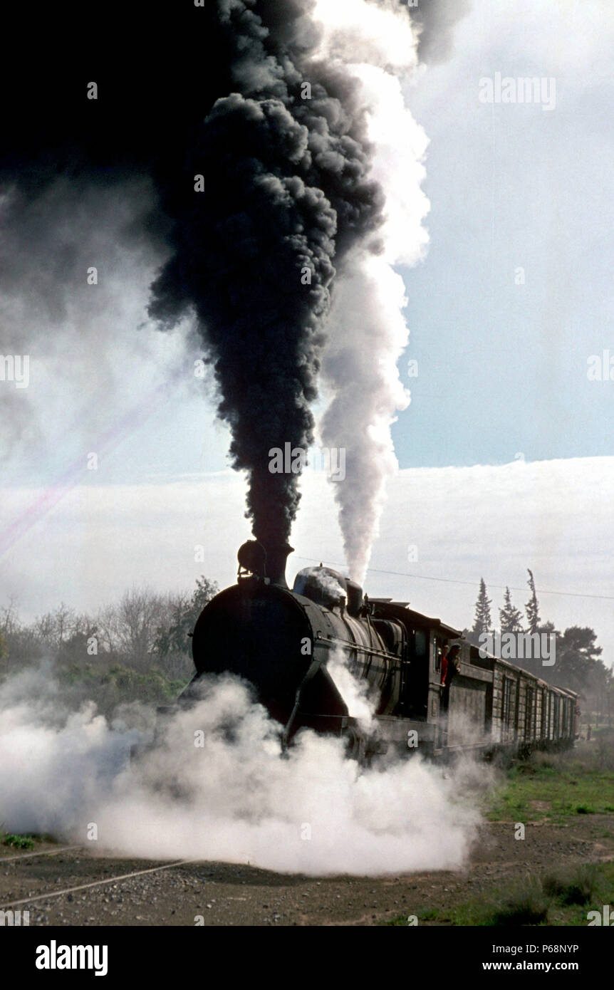 The last surviving Argentinean Railway's 11c Class 3 cylinder 4-8-0 ...
