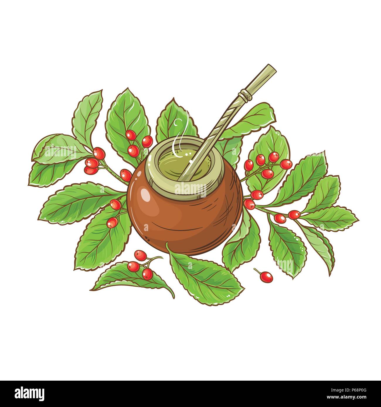 mate tea vector illustration on white background Stock Vector Image ...