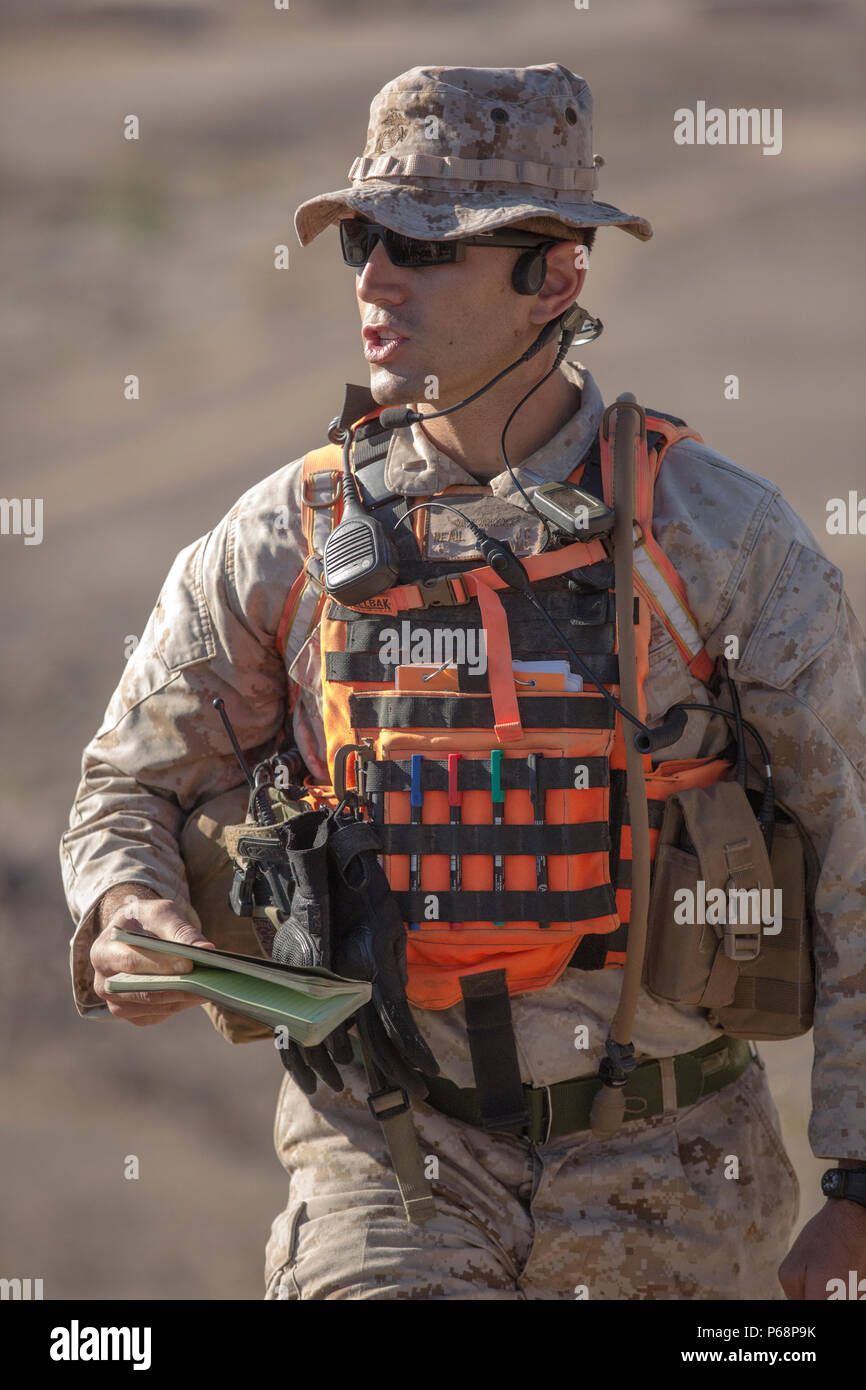 Coyote ttecg hi-res stock photography and images - Alamy