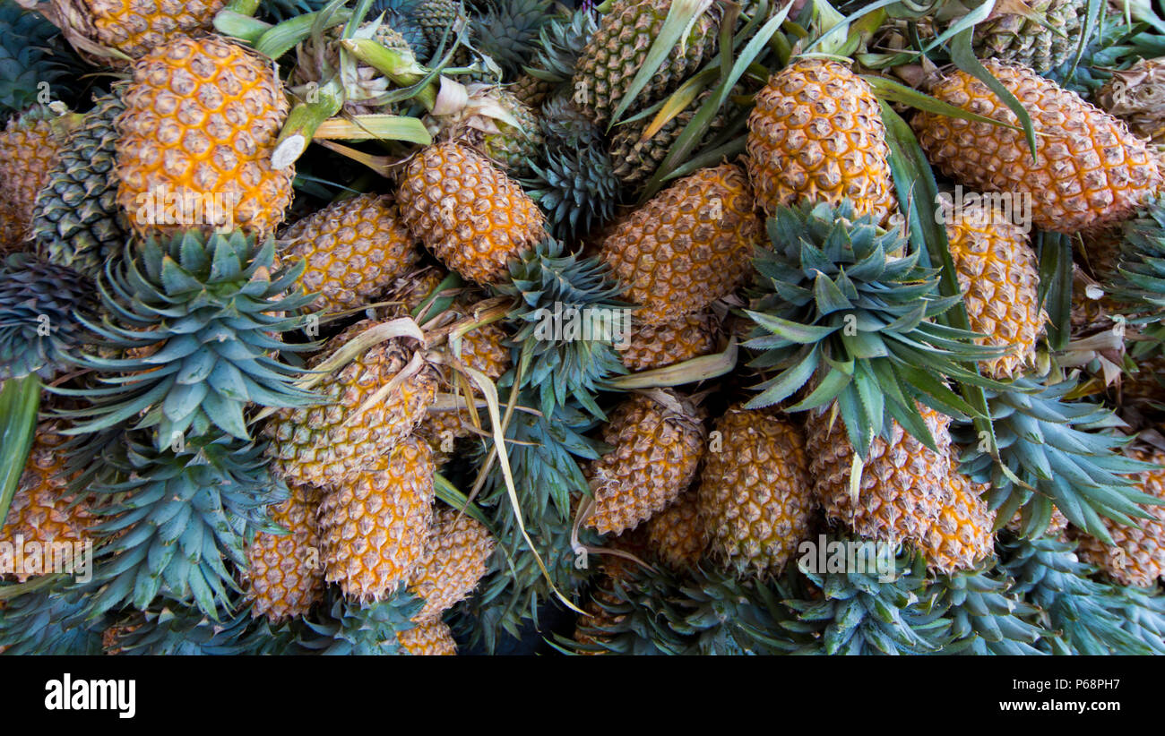Top view ripe pineapples hi-res stock photography and images - Alamy