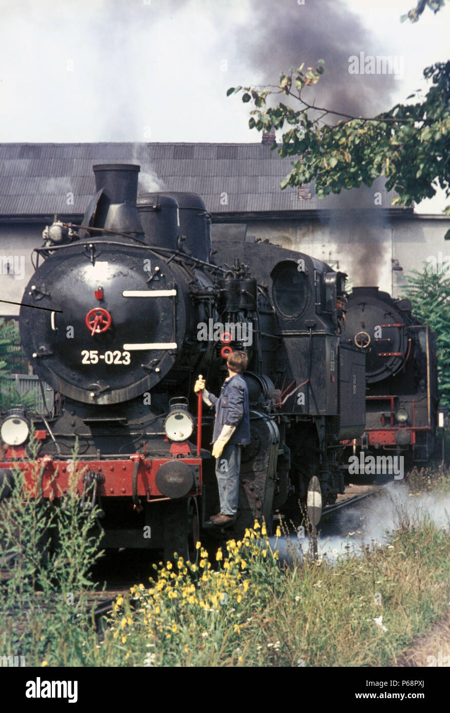 Two Yugoslav Railway's classic types on shed in August 1972. Leading is ...