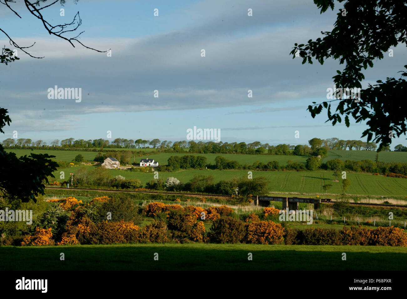 Typical Irish branch line scene complete with semaphore signal at ...