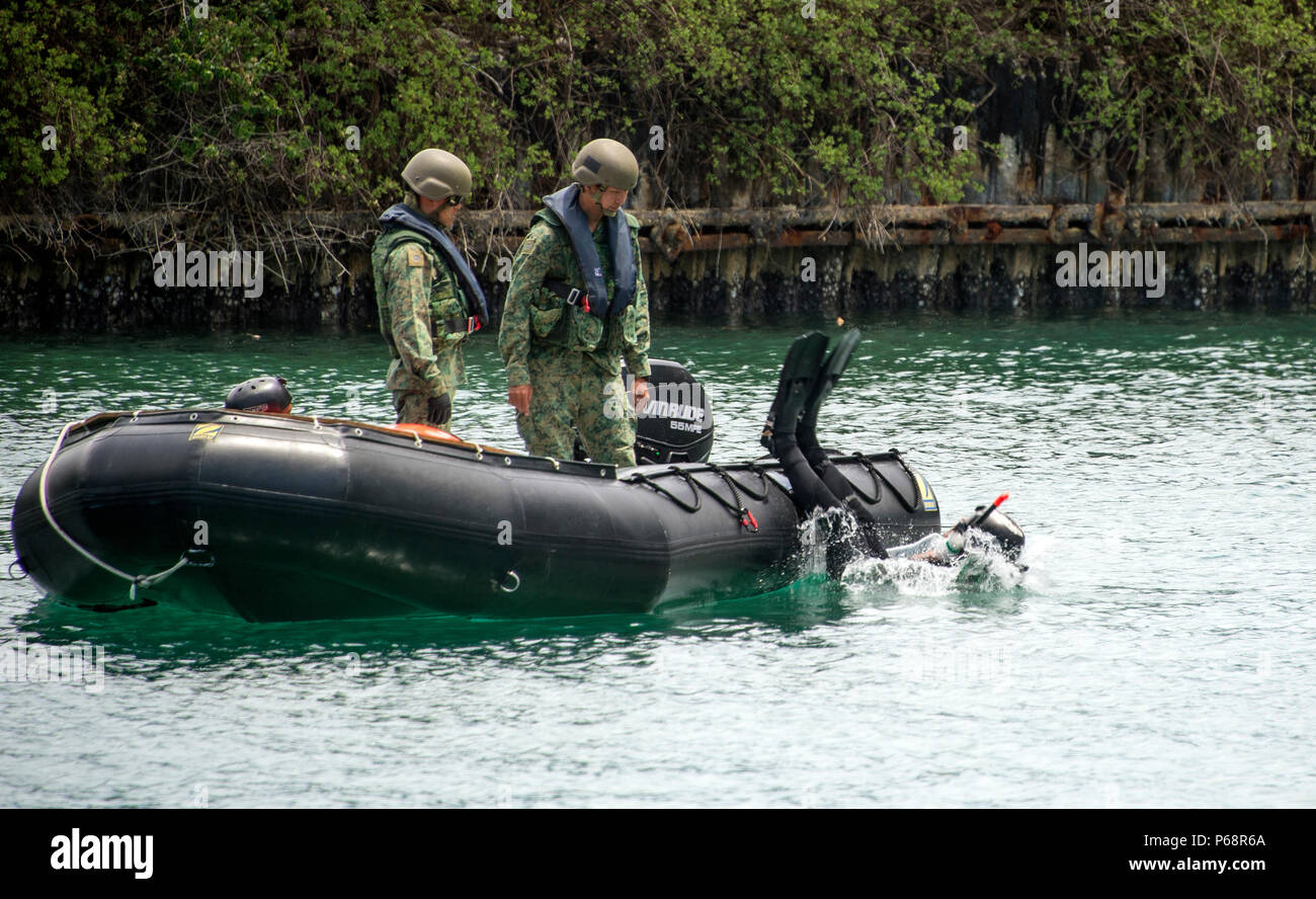 An Explosive Ordnance Disposal (EOD) technician, assigned to the ...