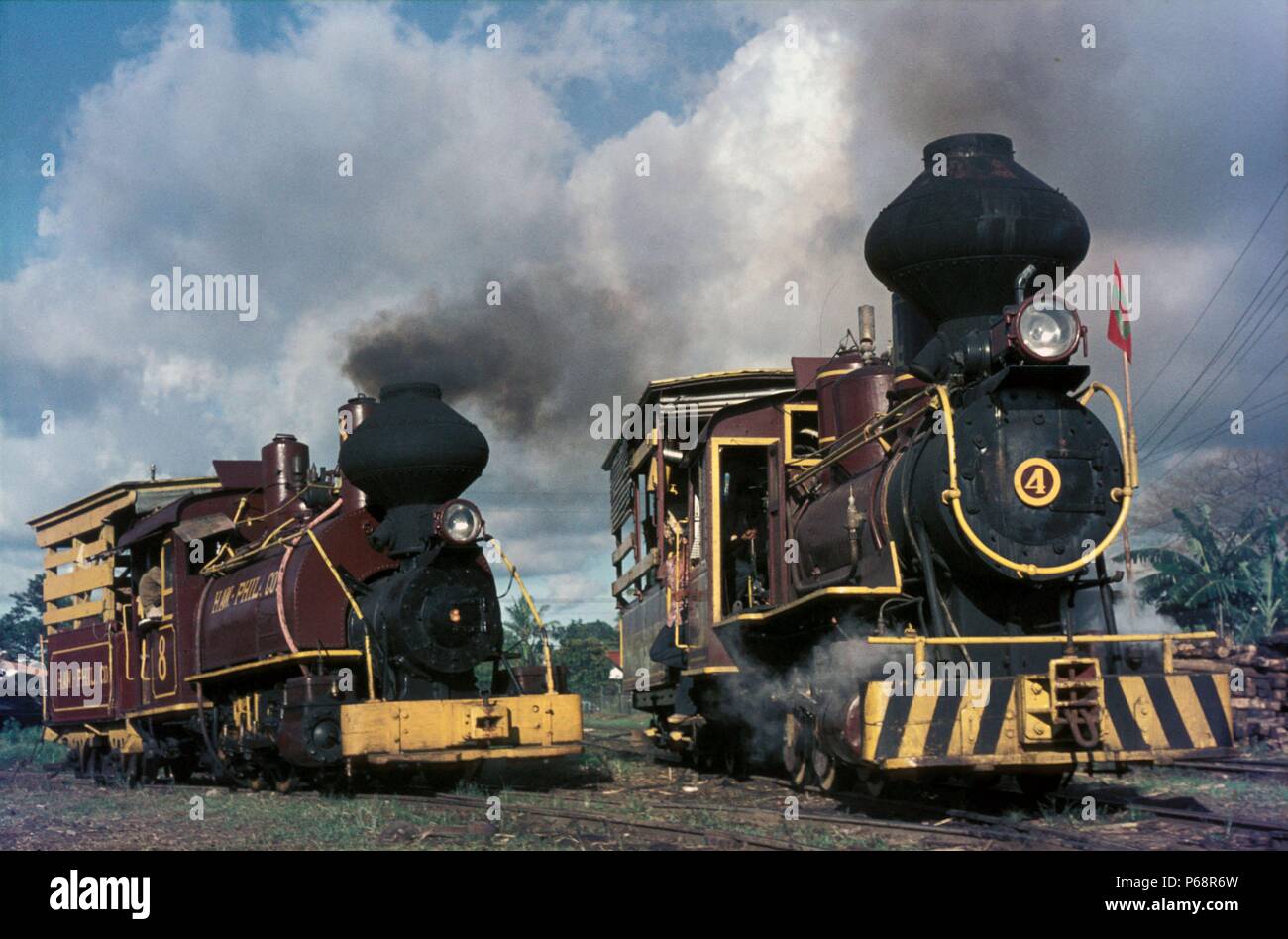 Go go dragons hi-res stock photography and images - Alamy