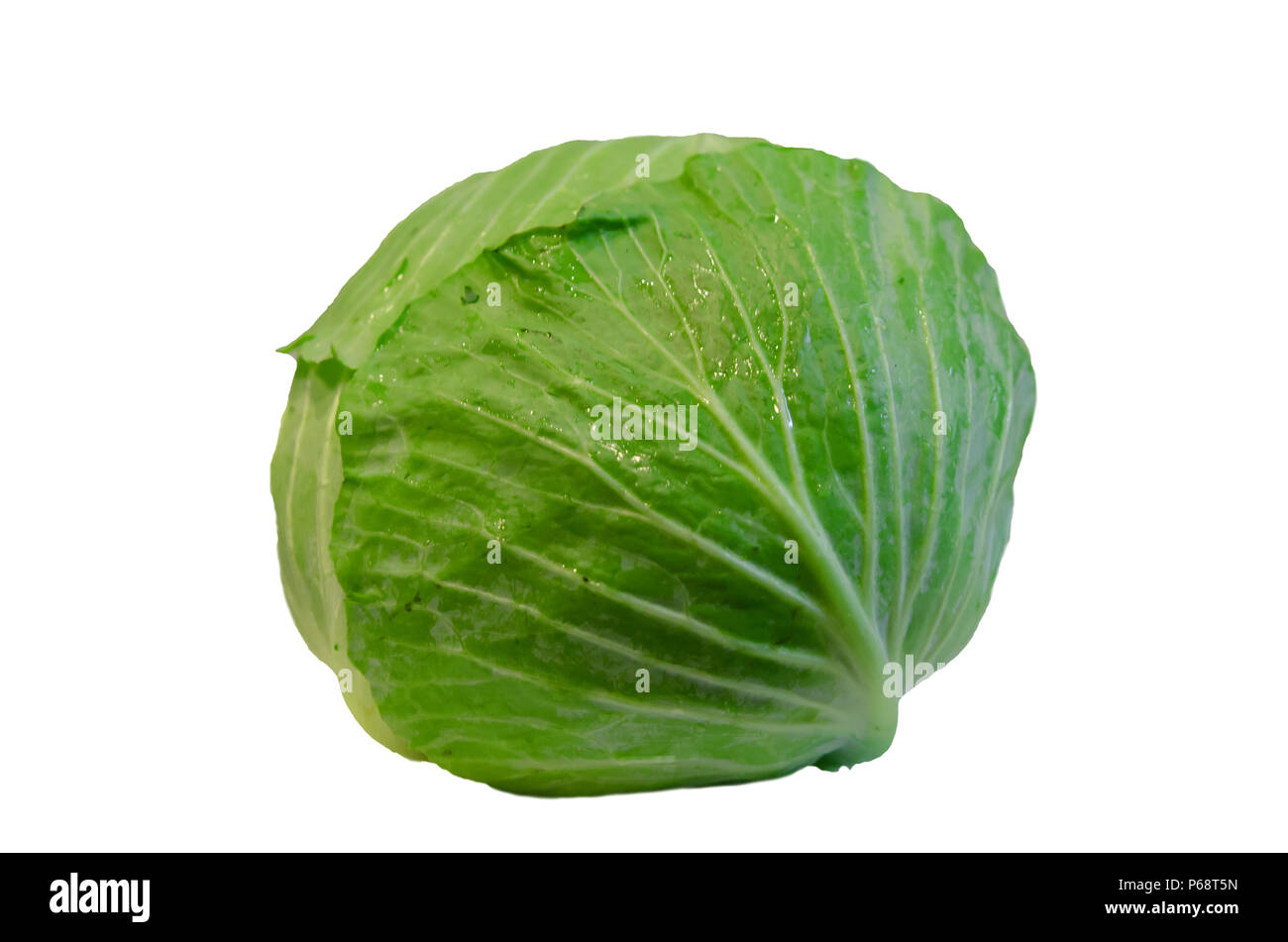 cabbage isolated on the white background Stock Photo - Alamy