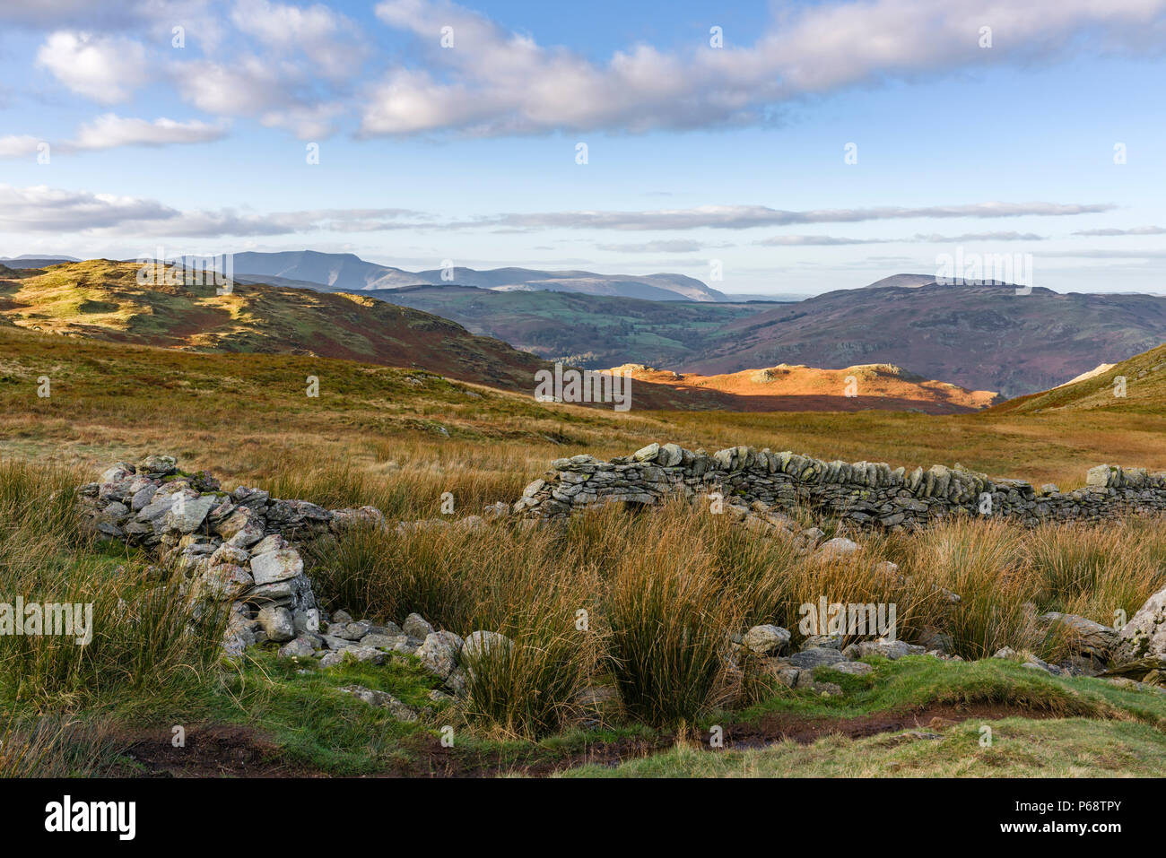 Sheepfold hi-res stock photography and images - Alamy