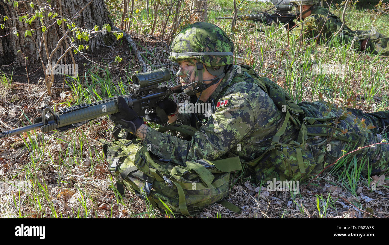 Canadian Army Paratroopers of the 3rd Royal Canadian Regiment, conduct ...