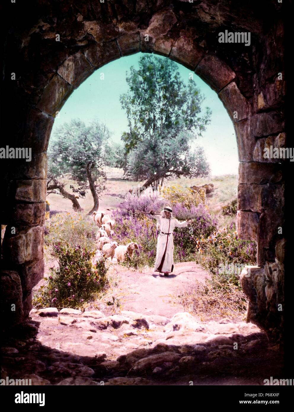 Colour photograph of an Arab shepherd boy seen through an arch in ...