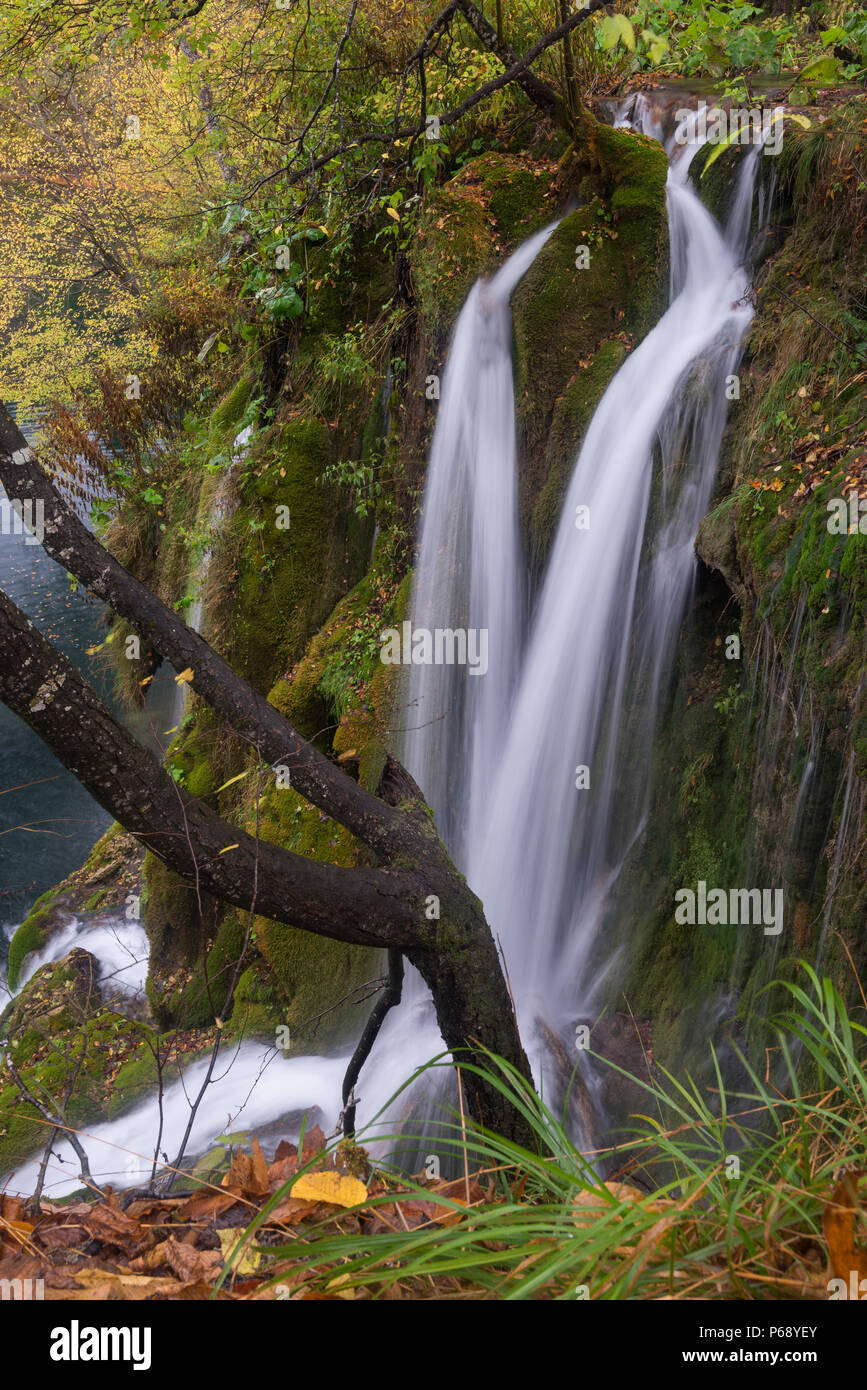 Plitvice Lakes National Park, UNESCO World Heritage Site, Croatia, Europe Stock Photo - Alamy