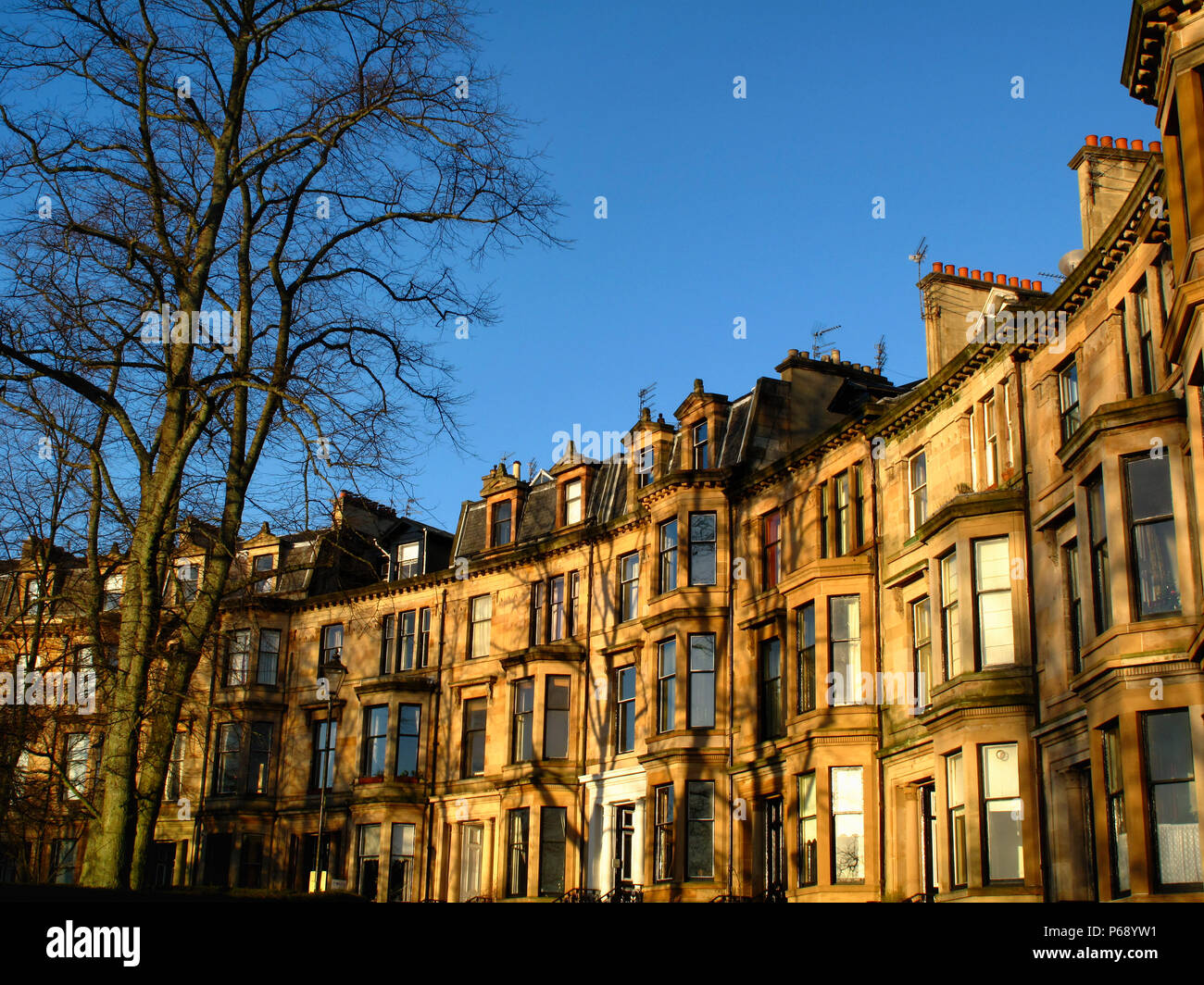 Blonde sandstone Glasgow tenements Stock Photo - Alamy