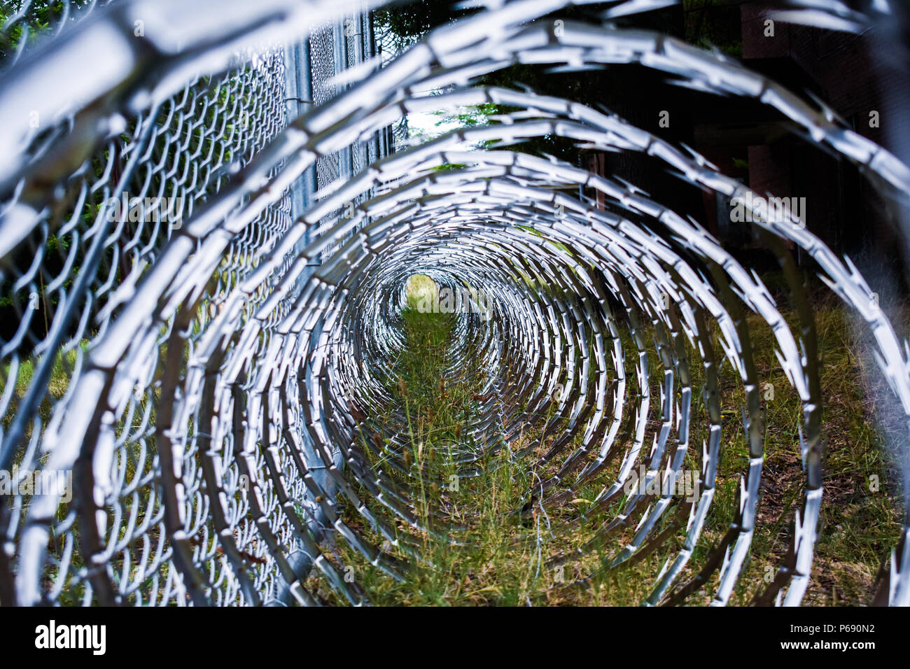 Barbed wire blade hi-res stock photography and images - Alamy
