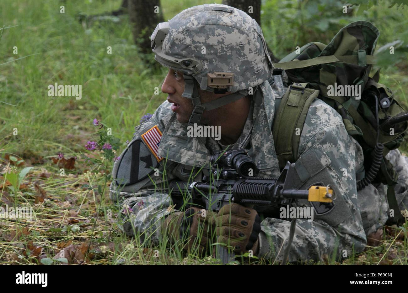 250th military intelligence company hi-res stock photography and images ...