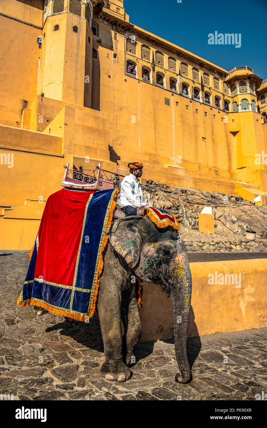 INDIA RAJASTHAN Jaipur. Nahargarh or Tiger Fort Stock Photo - Alamy