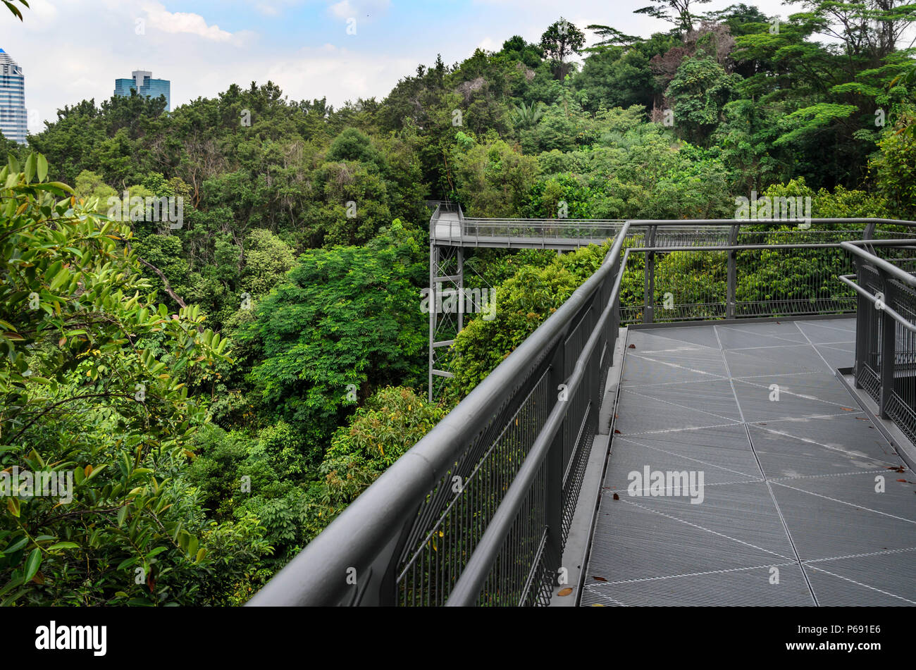 Southern Ridges Singapore High Resolution Stock Photography and Images ...