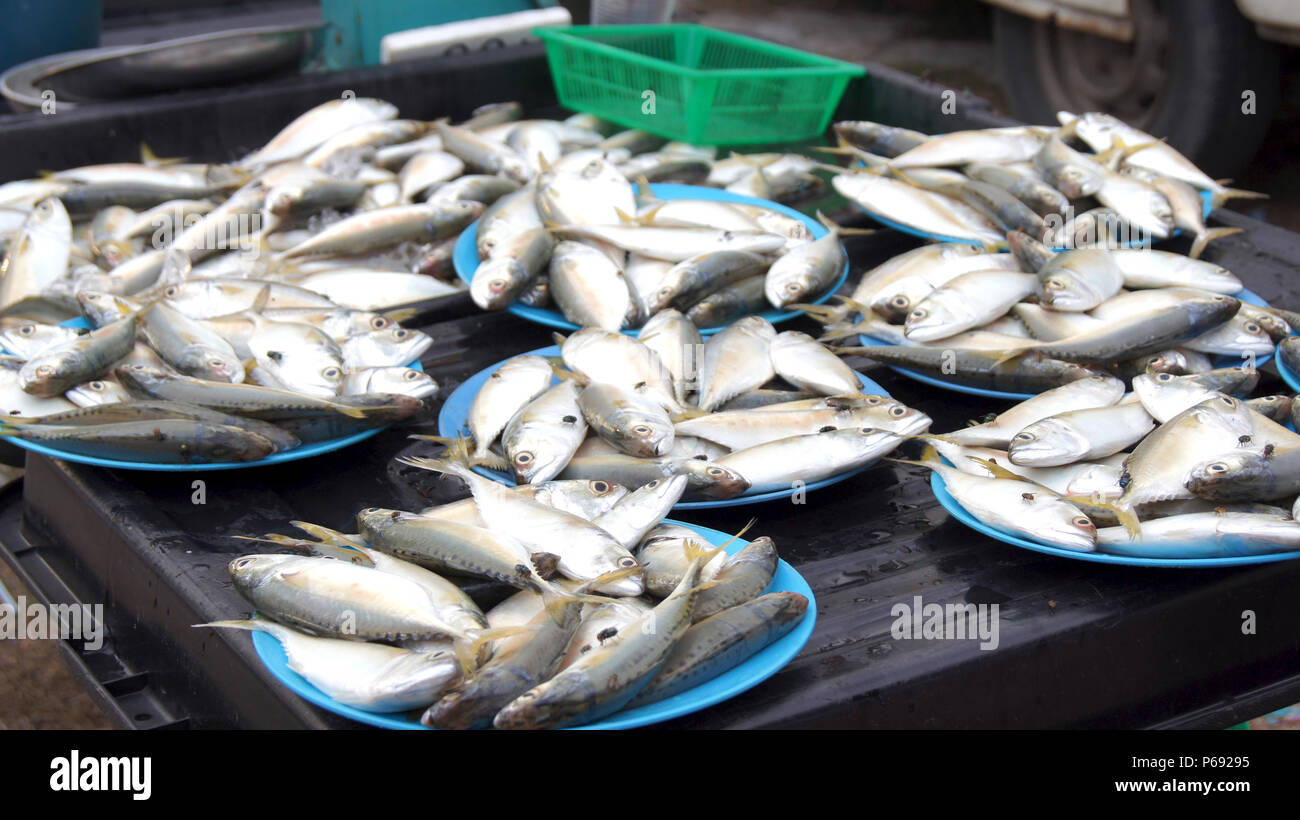 Night fish fry hi-res stock photography and images - Alamy