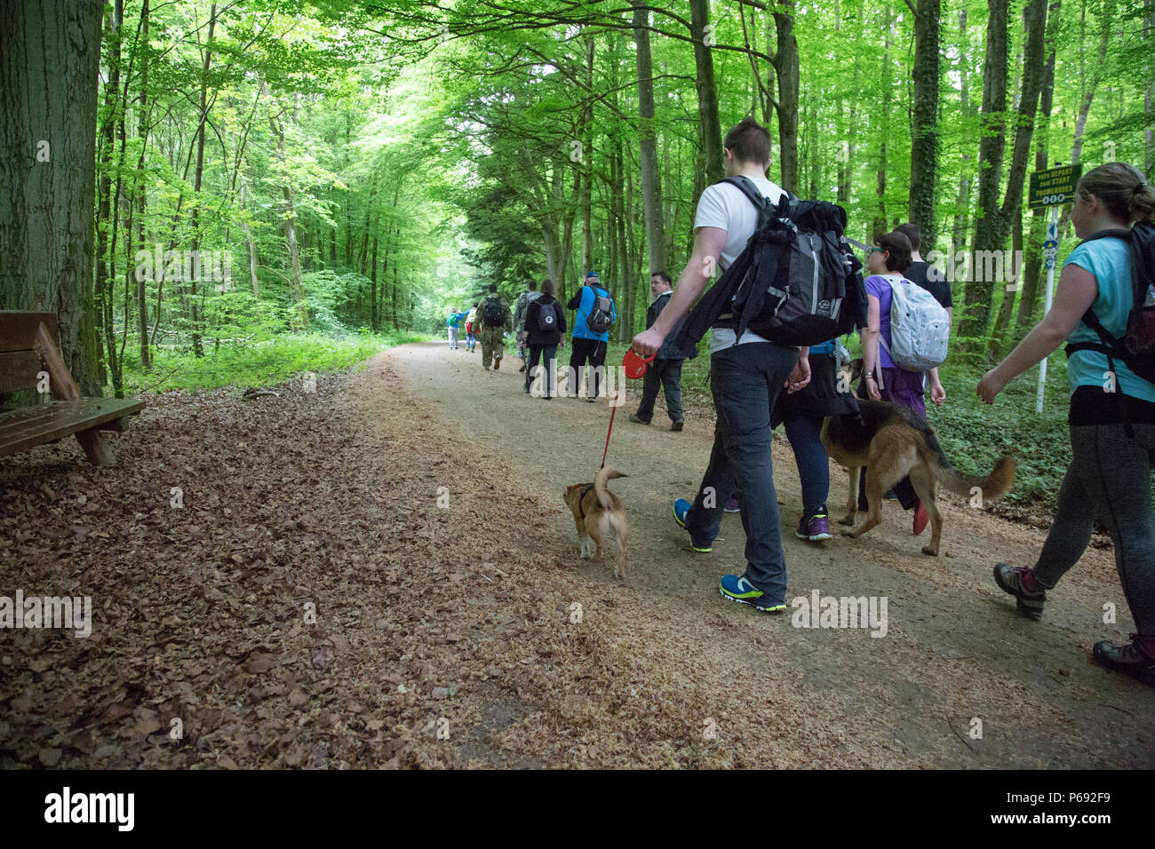 Participants march in the 49th Annual Marche Internationale de Diekirch ...
