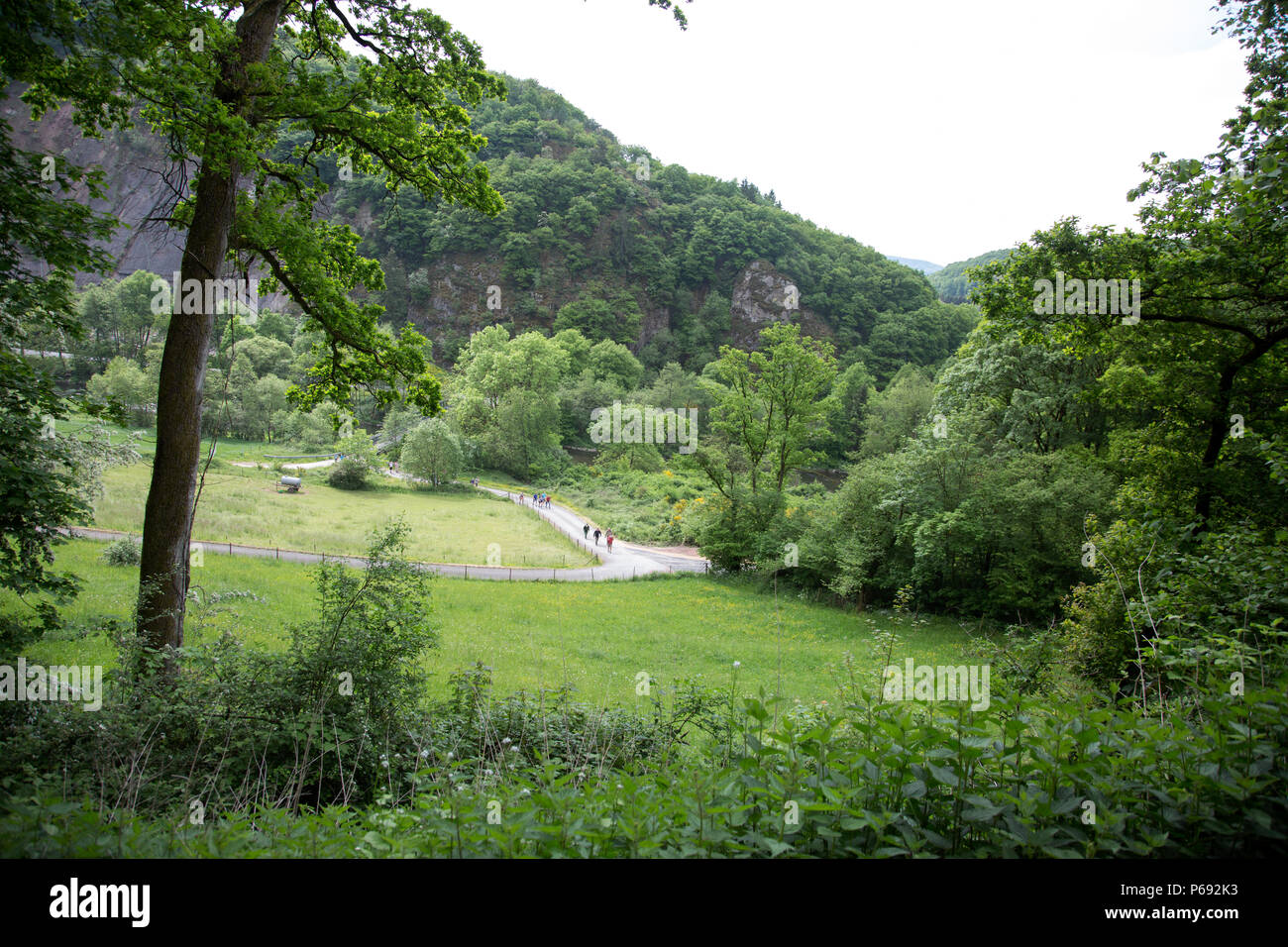 Marche Internationale De Diekirch High Resolution Stock Photography and ...