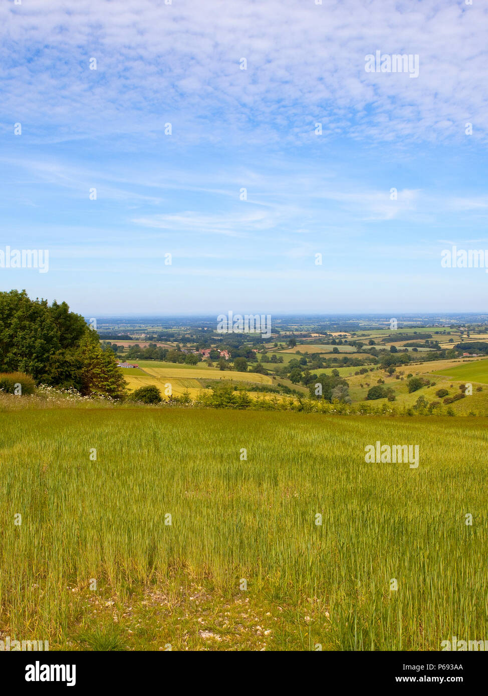 Hilltop barley hi-res stock photography and images - Alamy