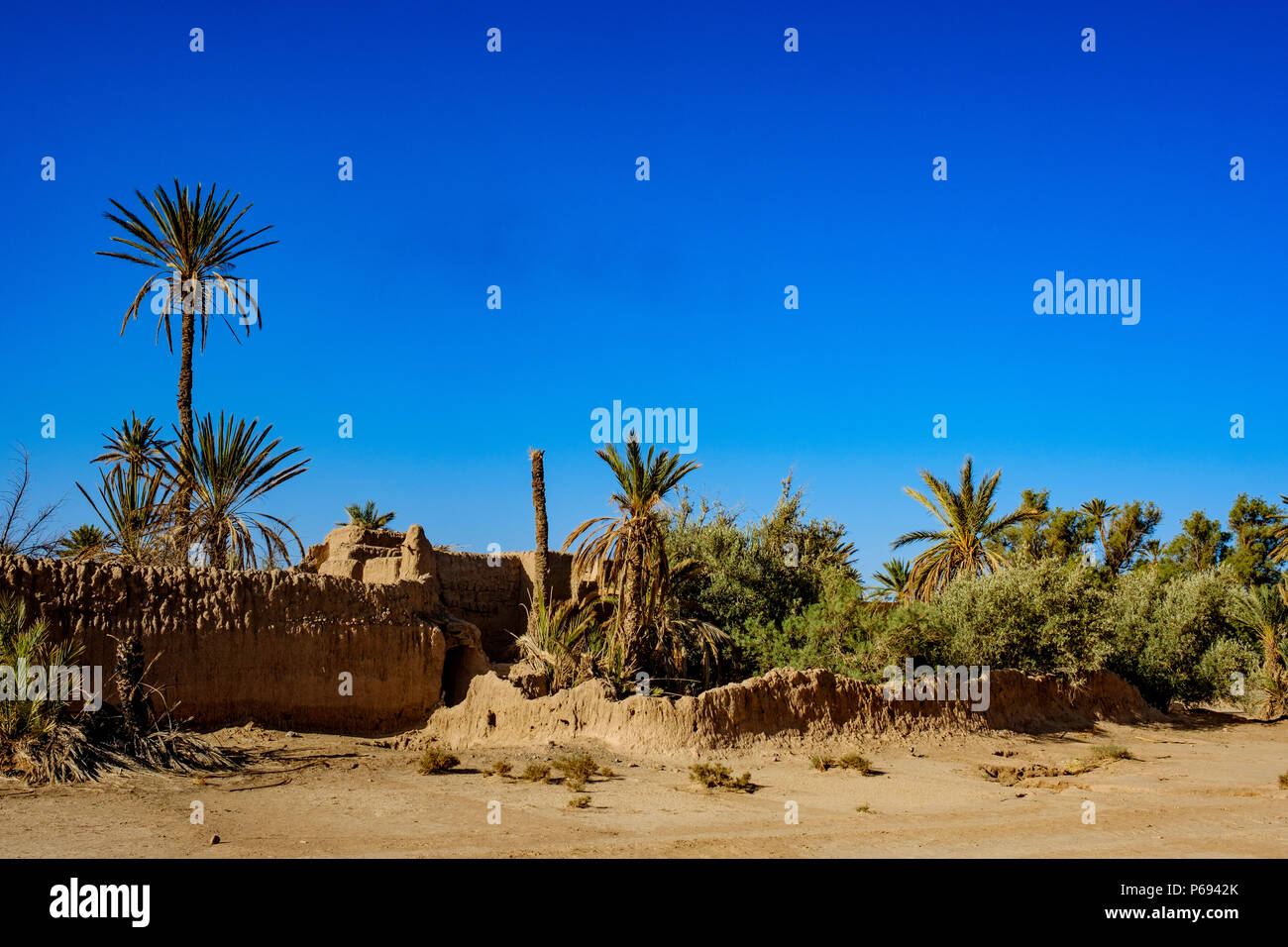 Palm trees morocco hi-res stock photography and images - Alamy